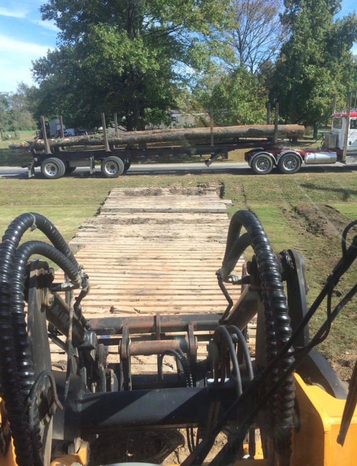 Timber Cutting Process - Simonton Hardwood Lumber